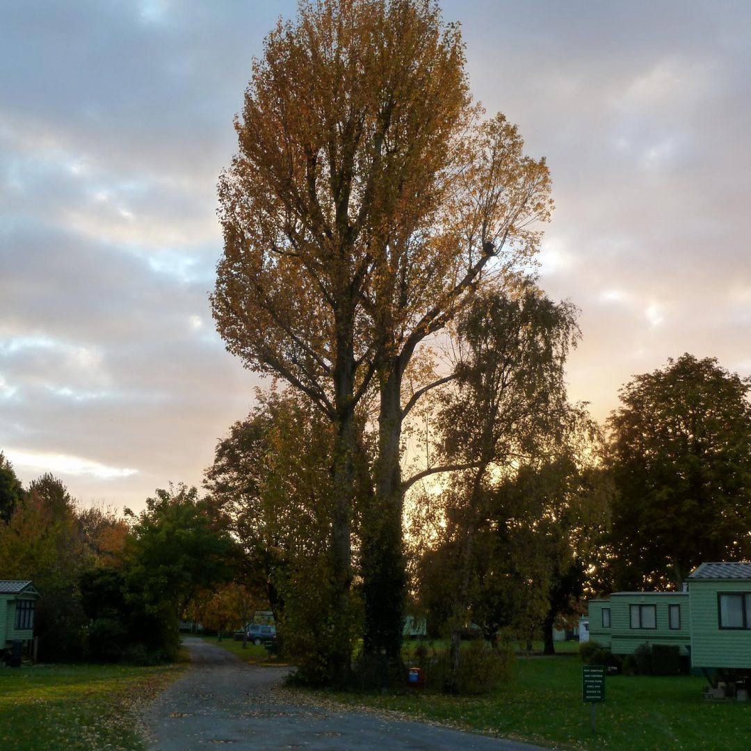 Island Meadow Caravan Park | Island Meadow Caravan Park